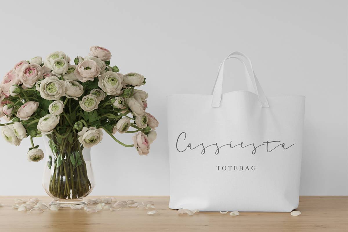Amadela Script Font Download for Free