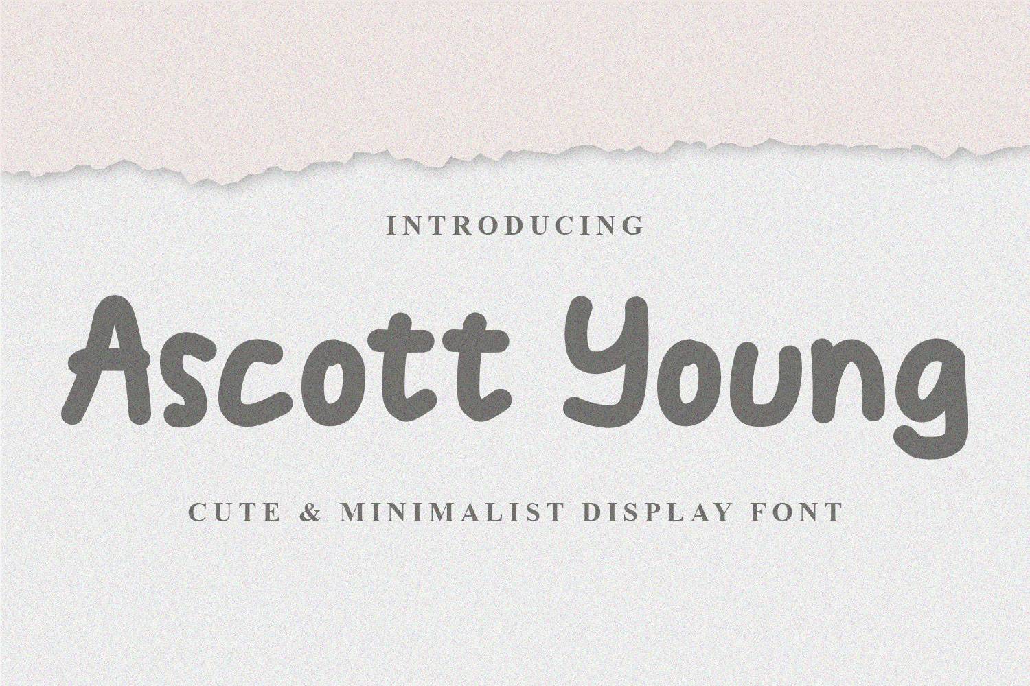 Ascott Young Font Download for Free