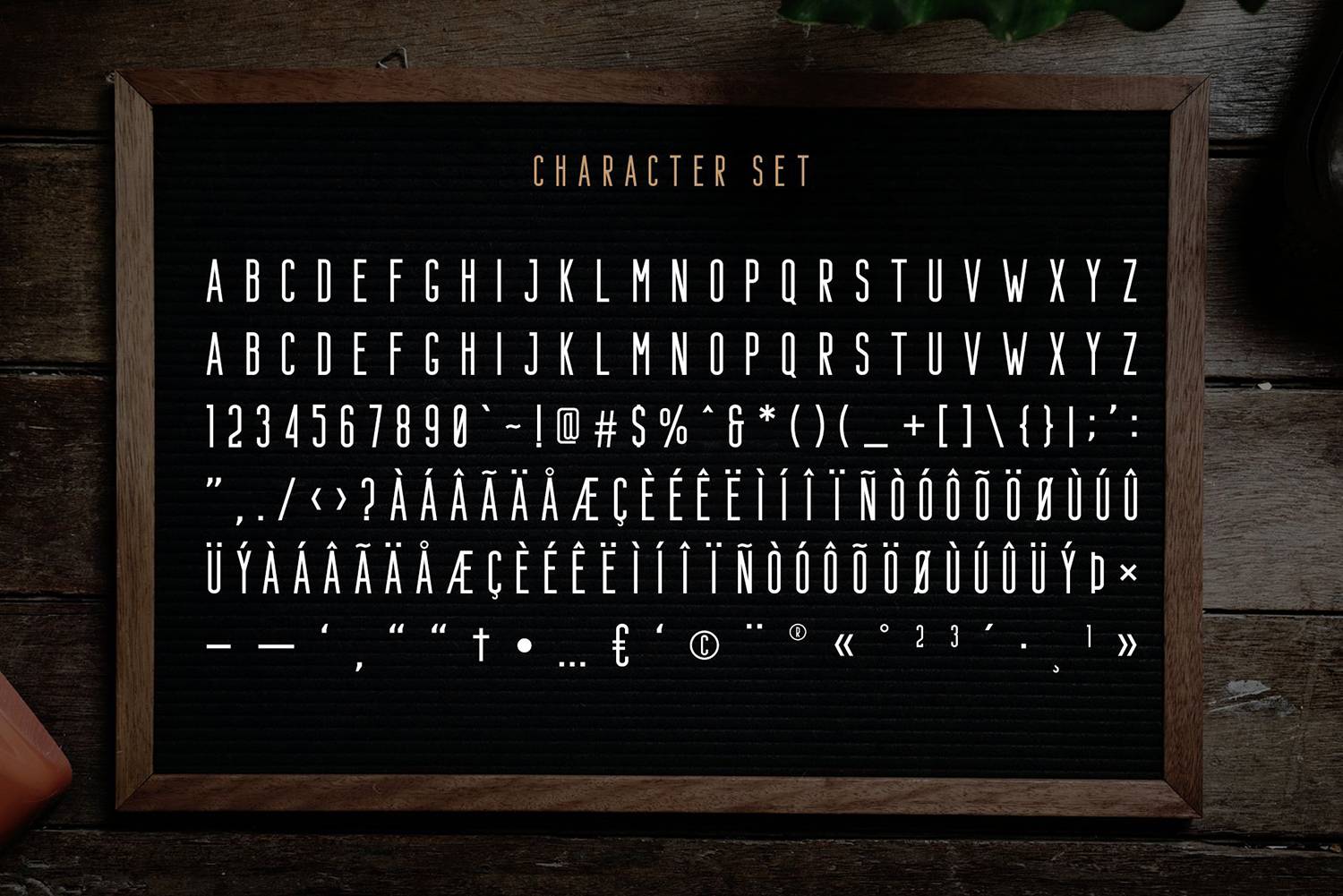 Bondie Font Download for Free