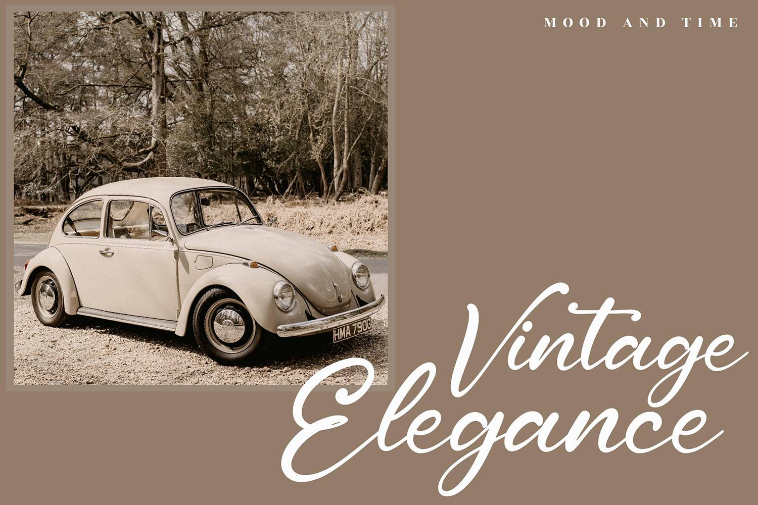 Cantika Sarah Font Download for Free