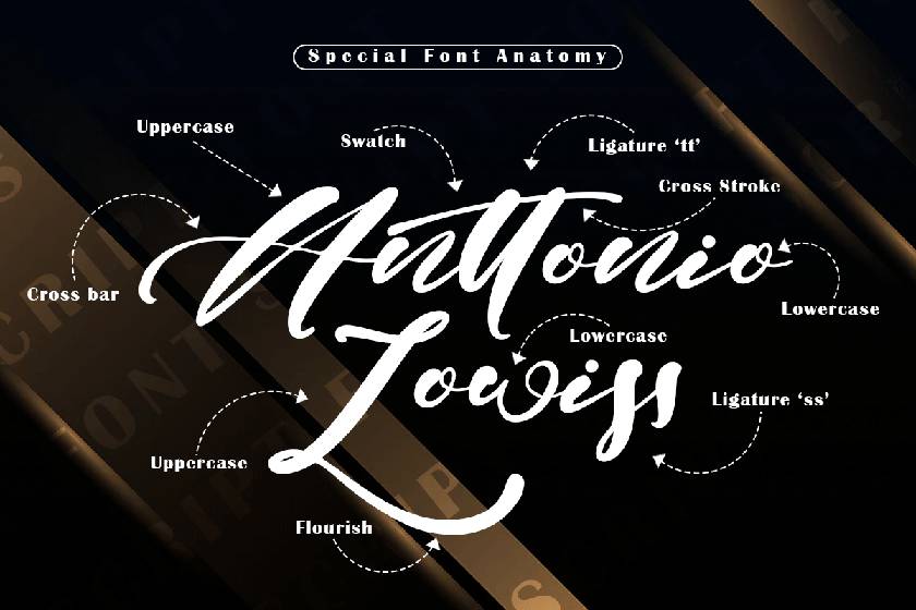 Erica Gavin Font Download for Free