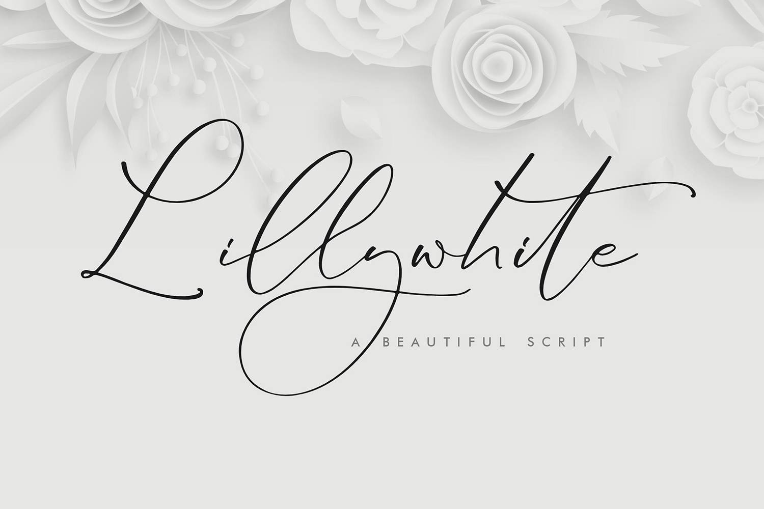Lillywhite Font Download for Free
