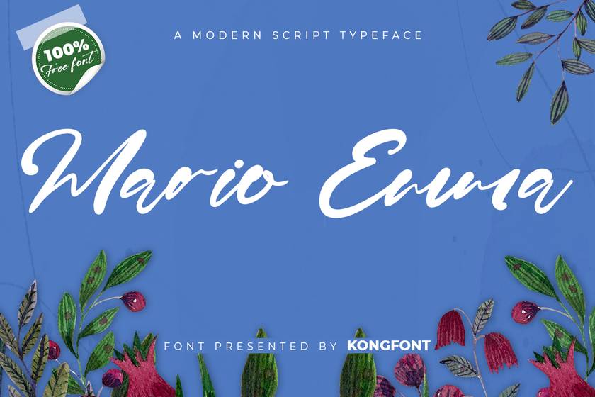 Mario Emma Font Download for Free