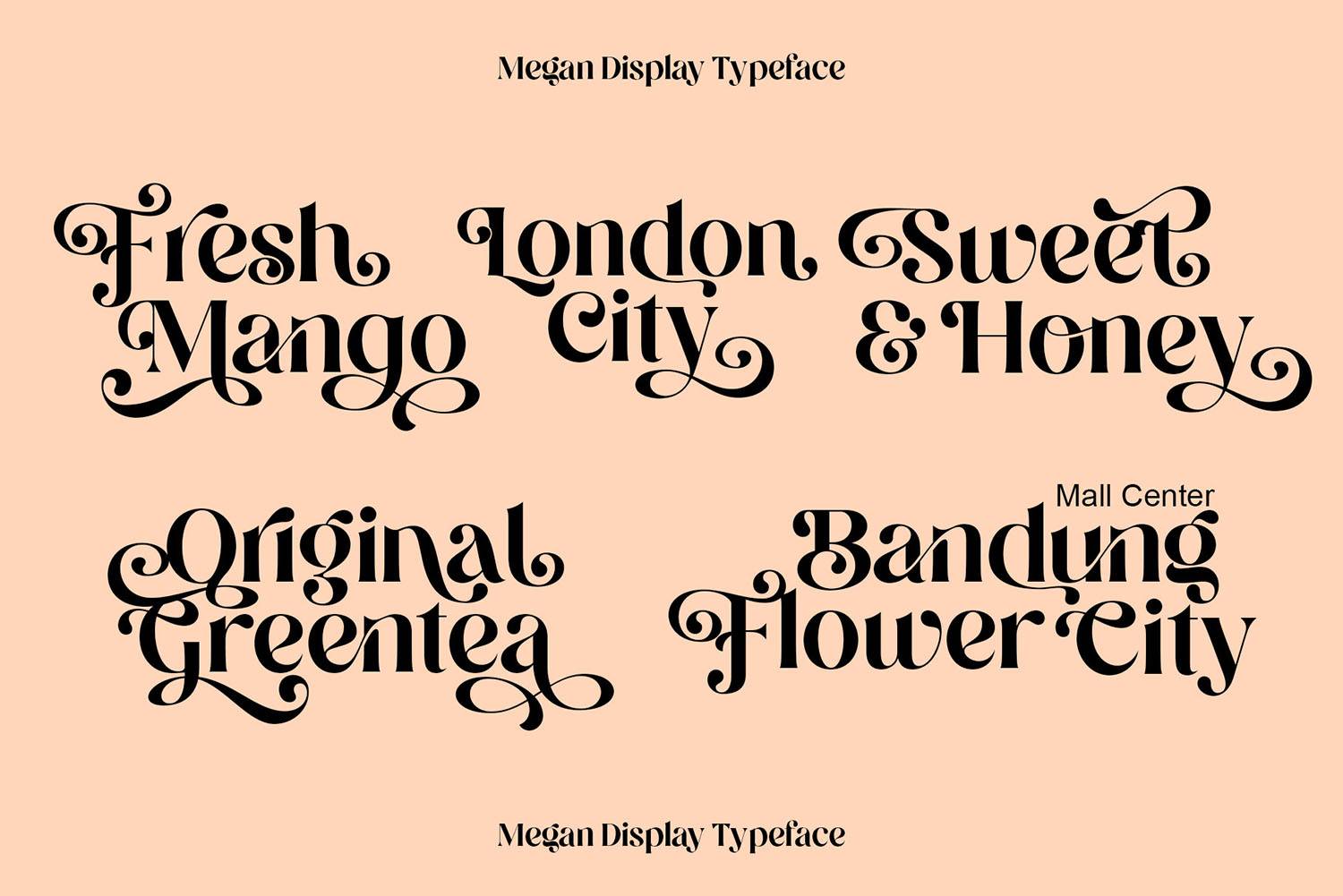 Megan Display Font Download for Free