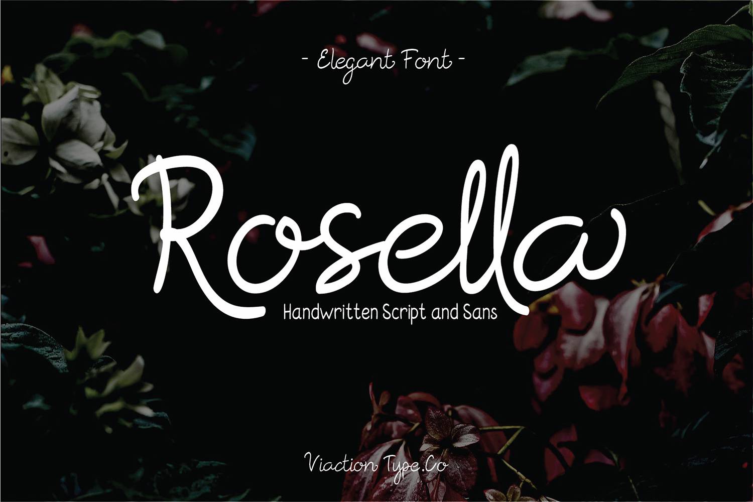 Rosella Font Download for Free