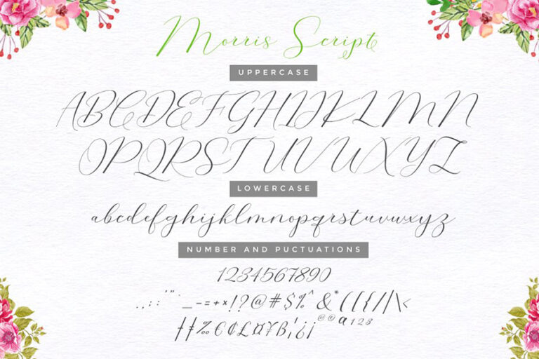 Morris Signature Script Font | Hey, Fonts!