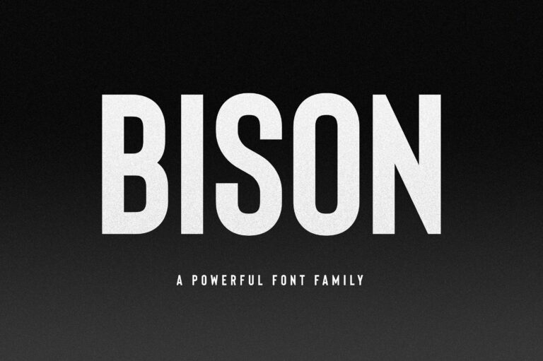 Bison Font Family | Hey, Fonts!