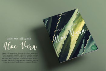 Alyssa Calligraphy Free Font